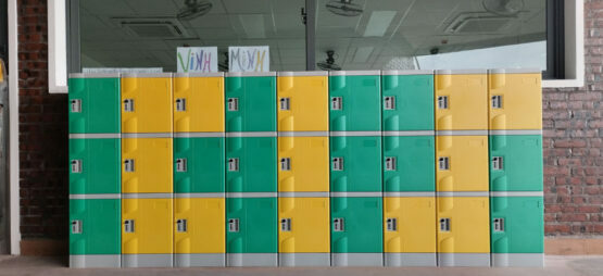 TRƯỜNG QUỐC TẾ CANADA CIS - LÀO CAI